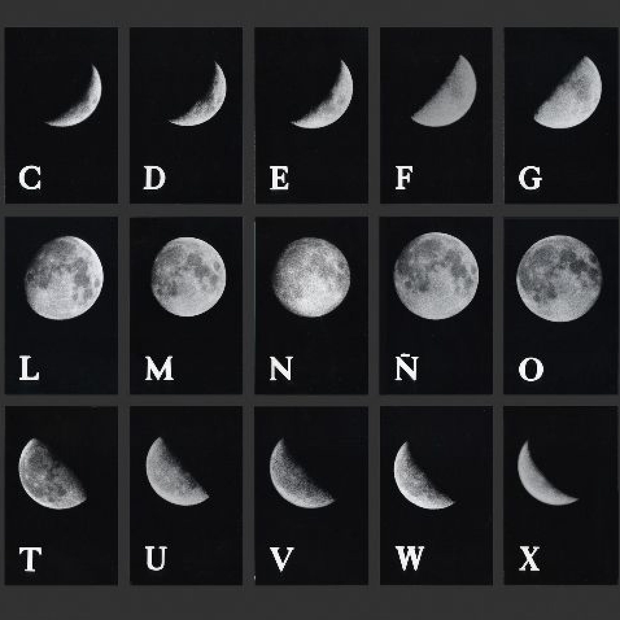 ESCRIBIR CON LUZ DE LUNA. LEANDRO KATZ EN DIÁLOGO CON JULIA P. HERZBERG ...