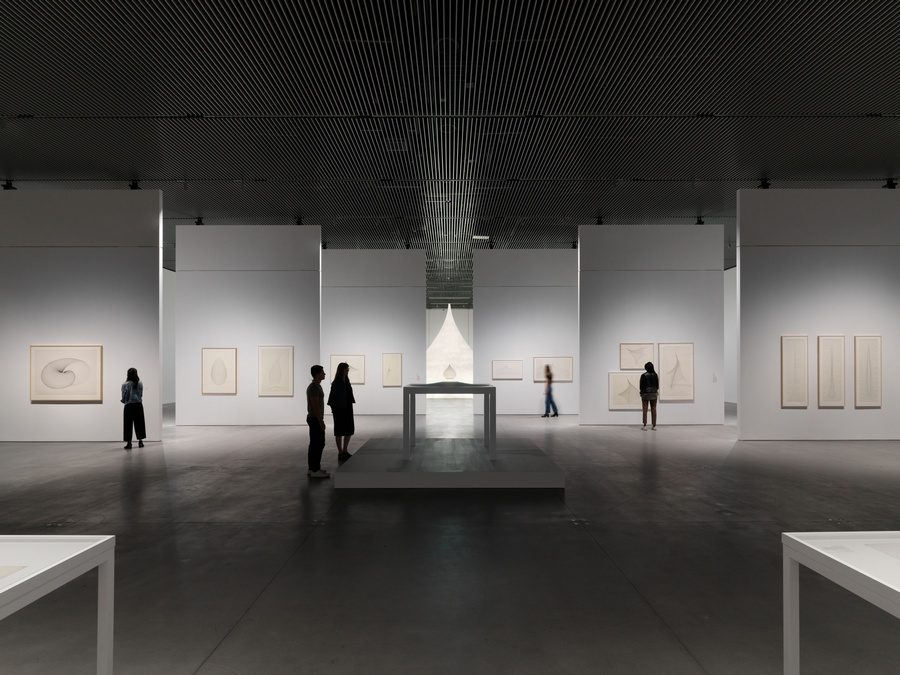 Agnes Denes:a Pioneer of Conceptual And Environmental Art - Artishock ...