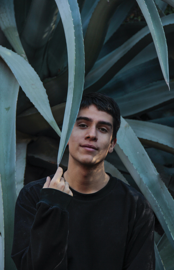 Lucas Núñez Saavedra, Autor en Artishock Revista