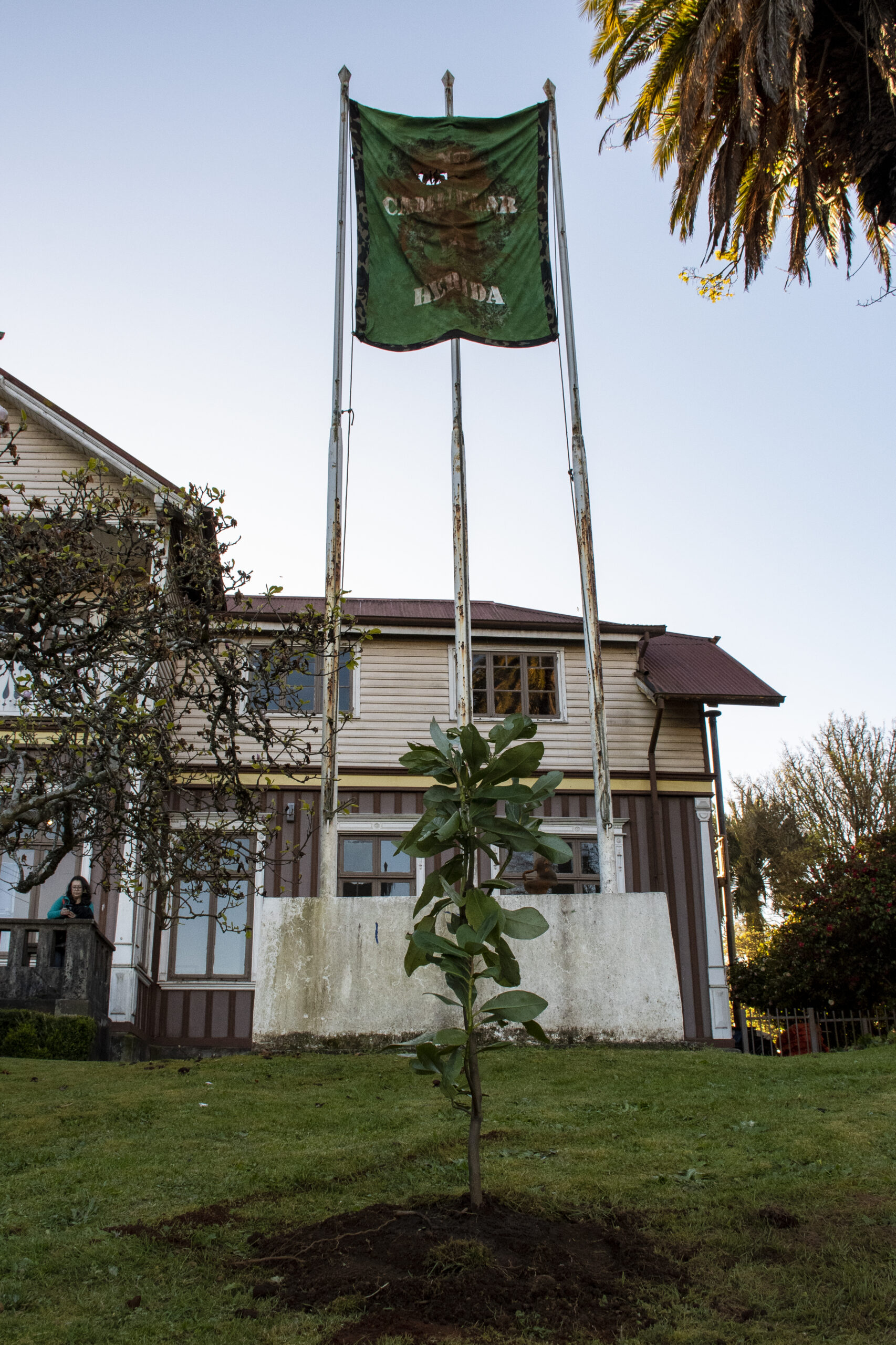 "SANTUARIO". ARTE, MEMORIA Y PAISAJE EN VALDIVIA - Artishock Revista