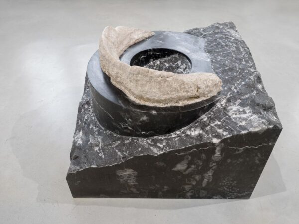 ELENA DAMIANI: TELLURIAN SURFACES AND CORE FRAGMENTS - Artishock Revista