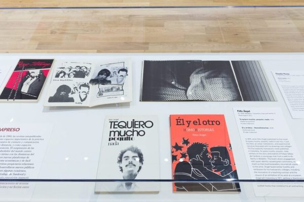 TEDDY SANDOVAL AND THE BUTCH GARDENS SCHOOL OF ART - Artishock Revista